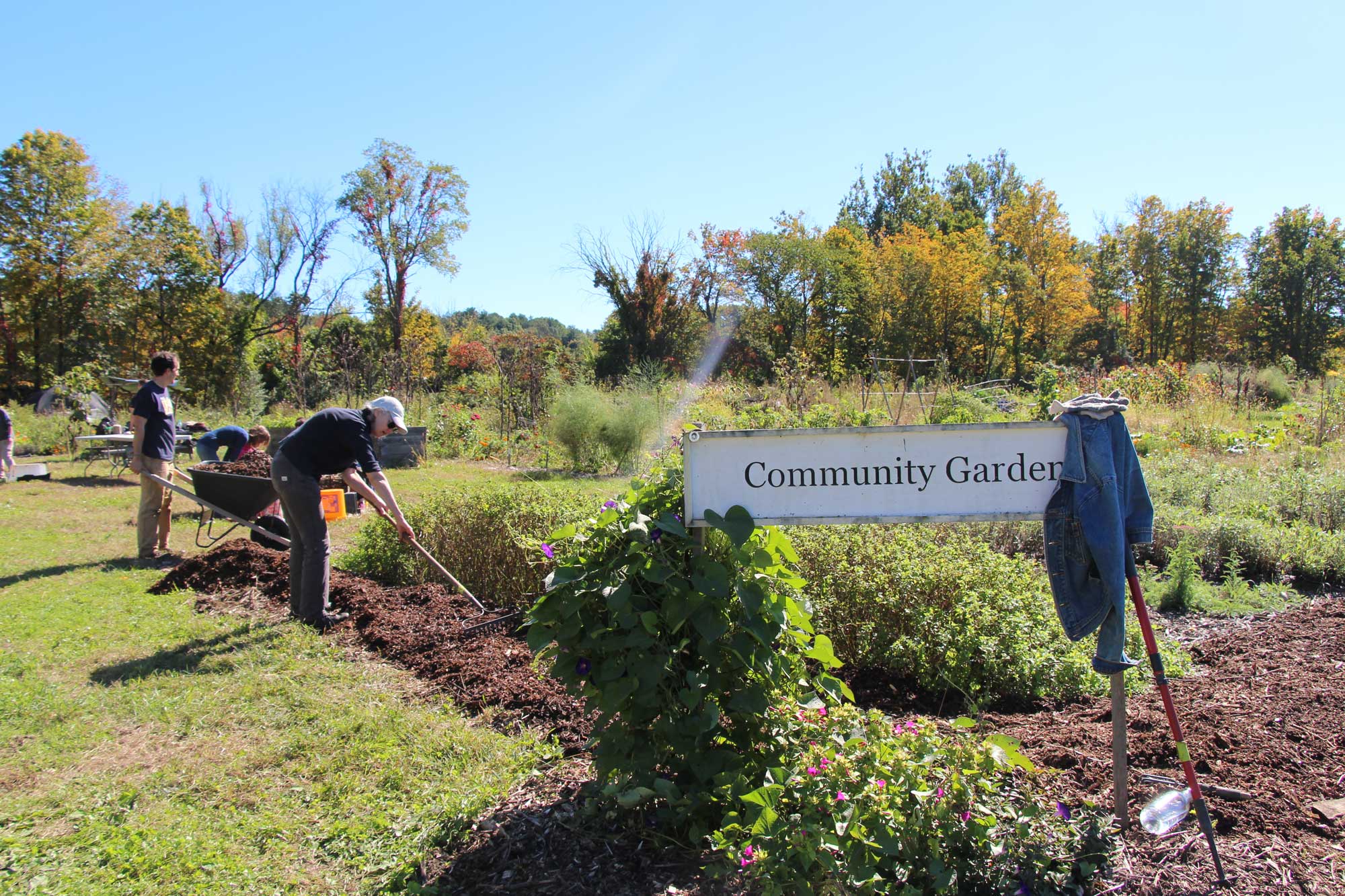 Our AmeriCorps Program | TerraCorps